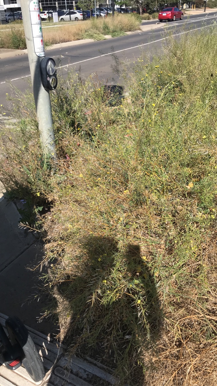 Creating Streets for People | Creating Streets for People | Your Say ...